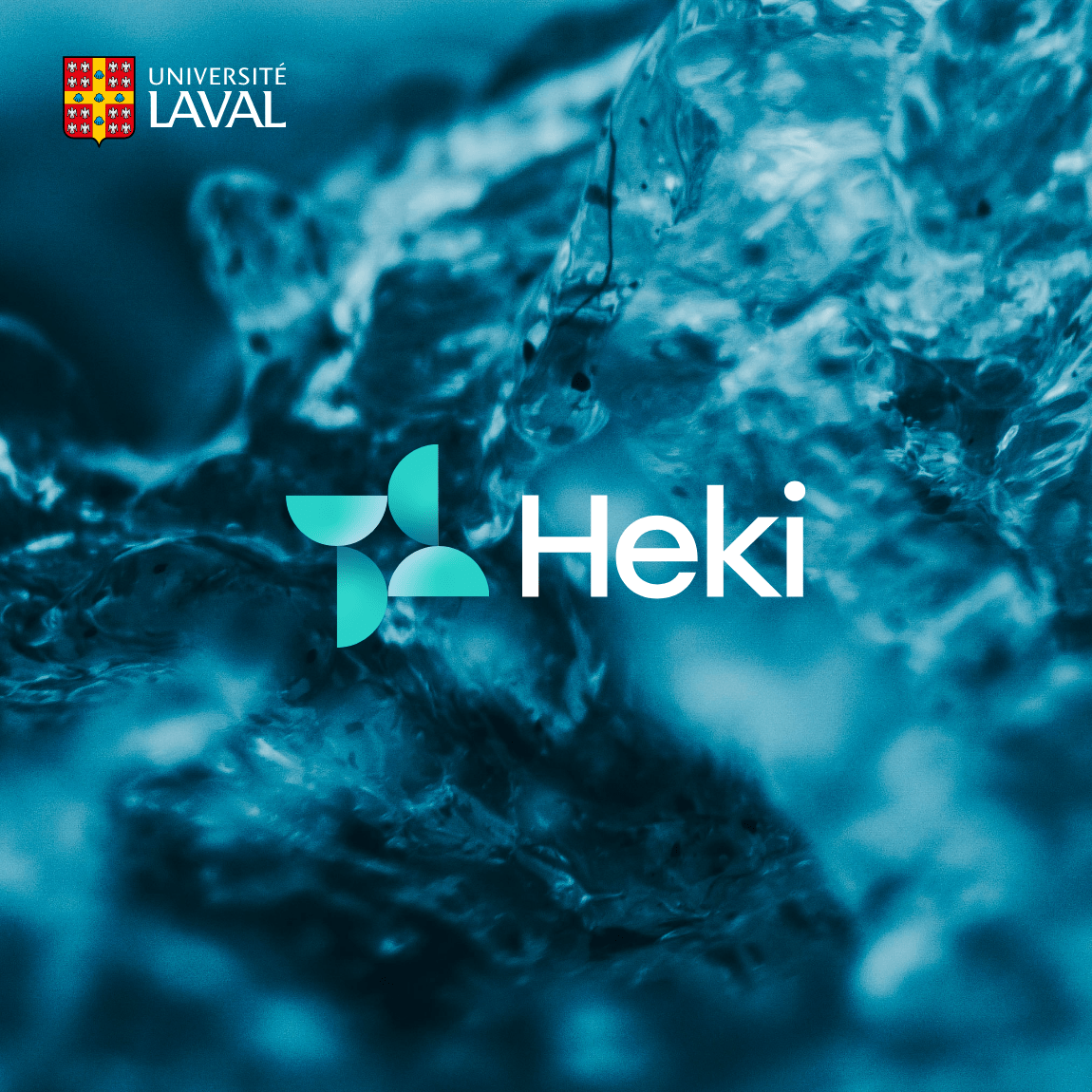 Portfolio - Rouge On Blue Marketing Numérique